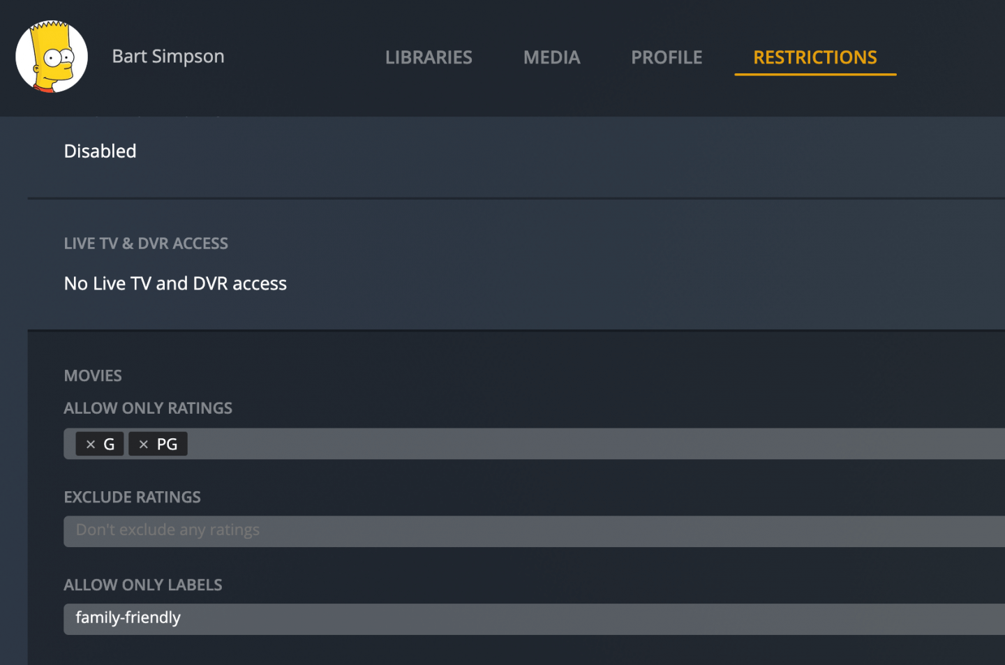 Example Plex Home Setup | Plex Support